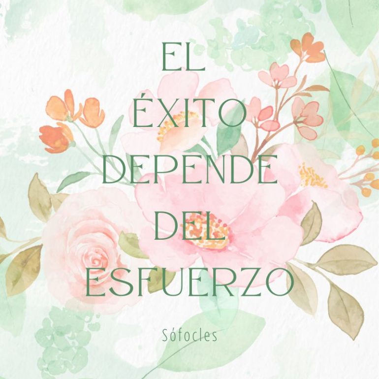 Frases motivadoras para estudiantes – 33 Frases para decorar la zona de ...